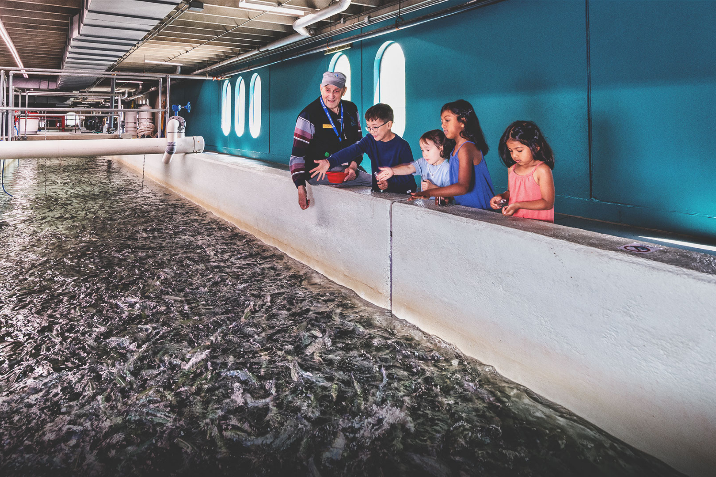 fish hatchery calgary