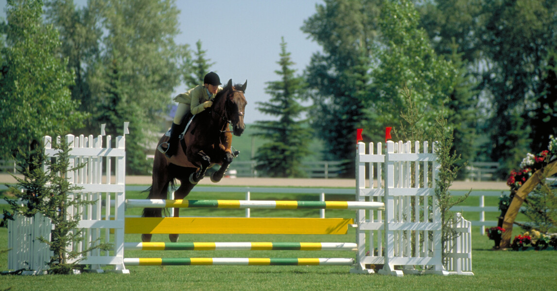 Your Guide to Visiting Spruce Meadows | Tourism Calgary