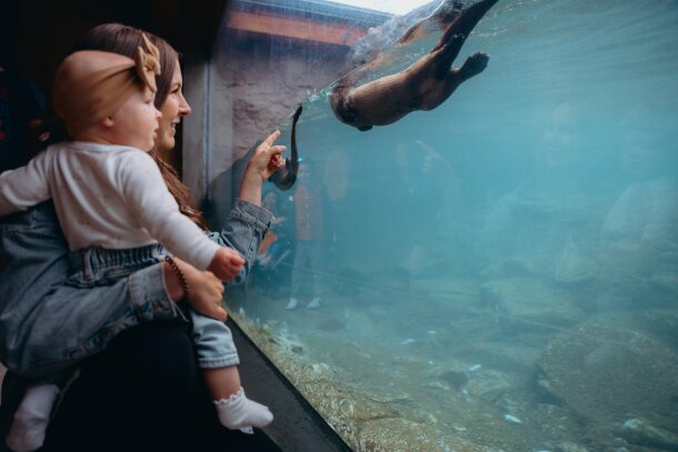 Your Guide to the Wilder Institute/Calgary Zoo | Tourism Calgary