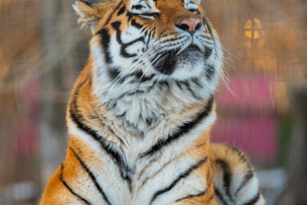 Your Guide to the Wilder Institute/Calgary Zoo | Tourism Calgary